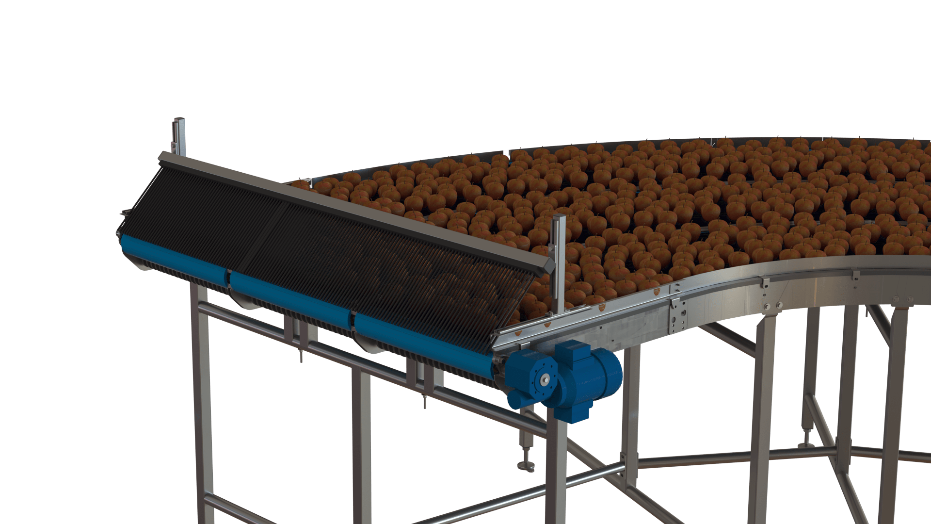 CURVED MODULAR BELT - Burg Machinery