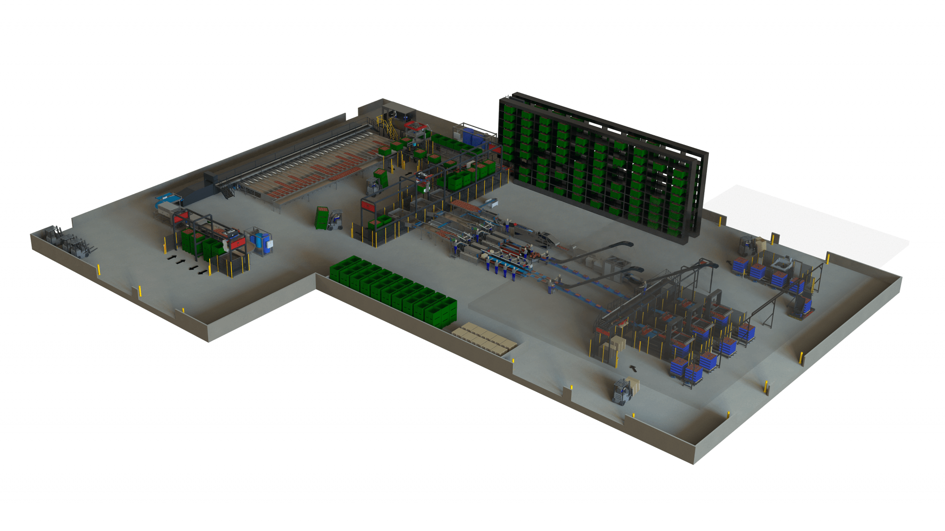 PRODUCTIELIJN FRUIT - Burg Machinery