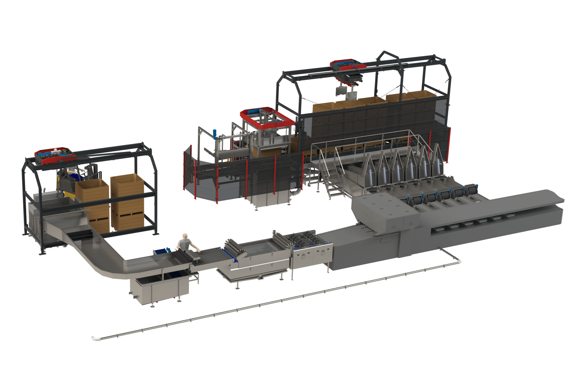 PRE SORT LINE FRUIT - Burg Machinery