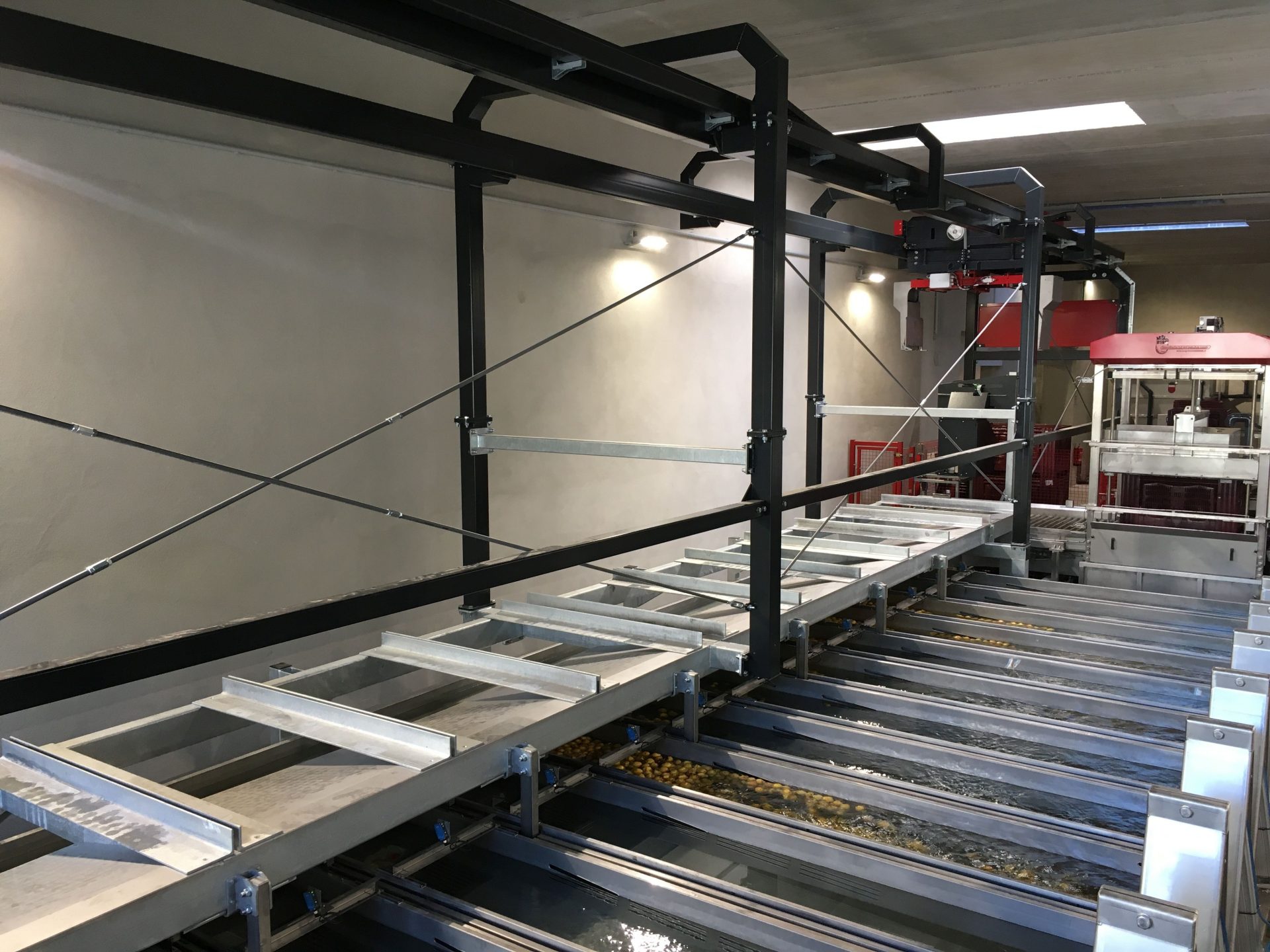 PRE SORTINGLINE - Burg Machinery