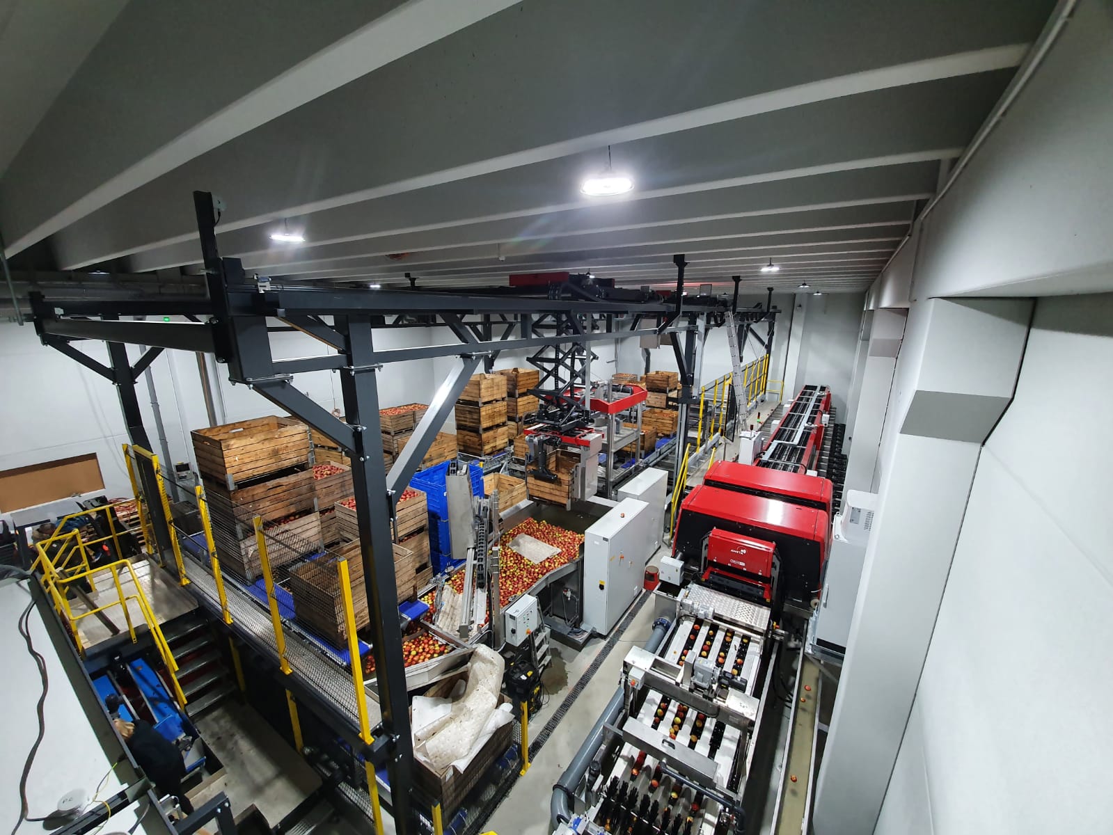 PRE SORTING LINE - Burg Machinery