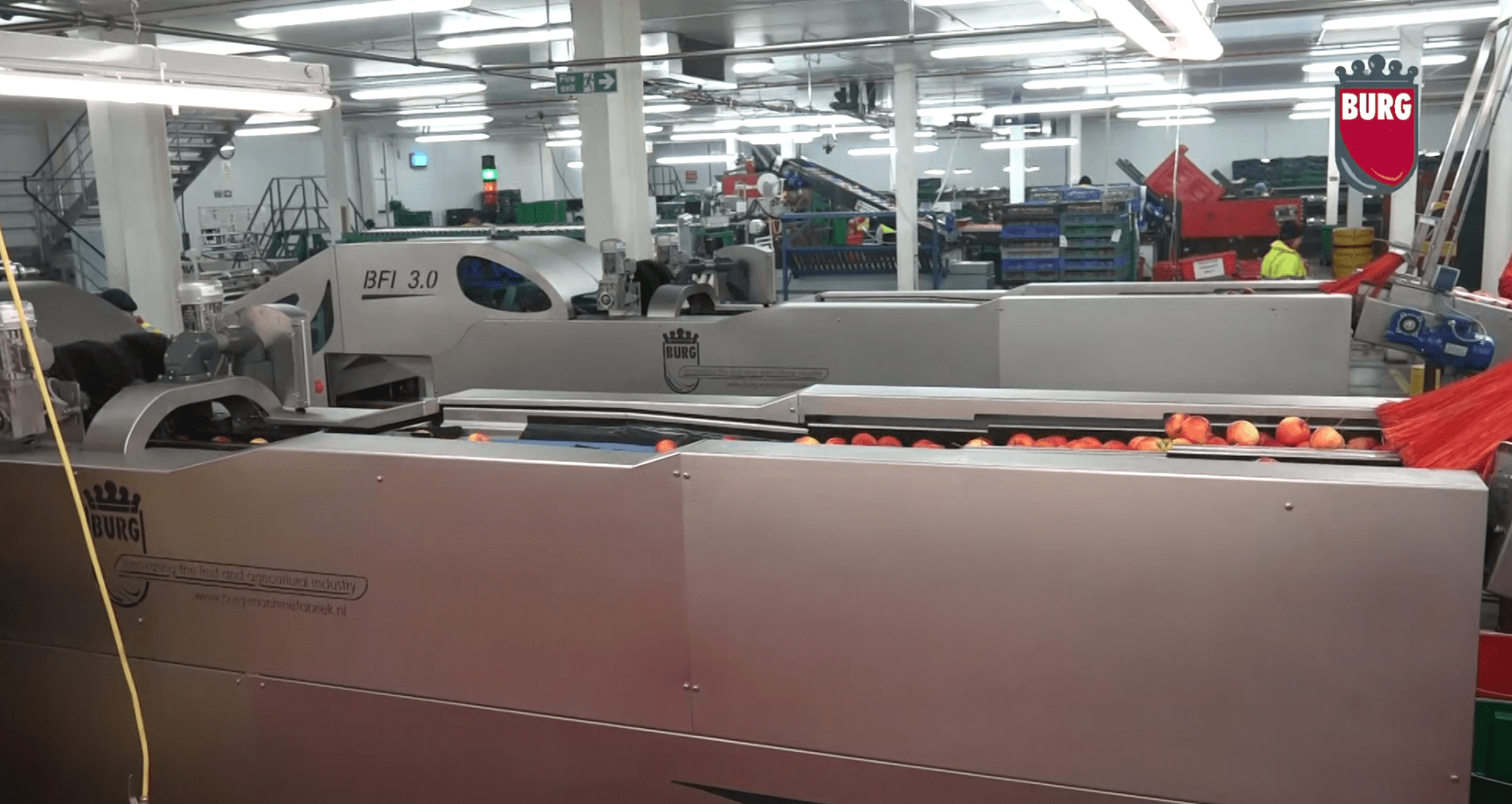 BIN UNLOADING WITH PACKAGING LINES - Burg Machinery