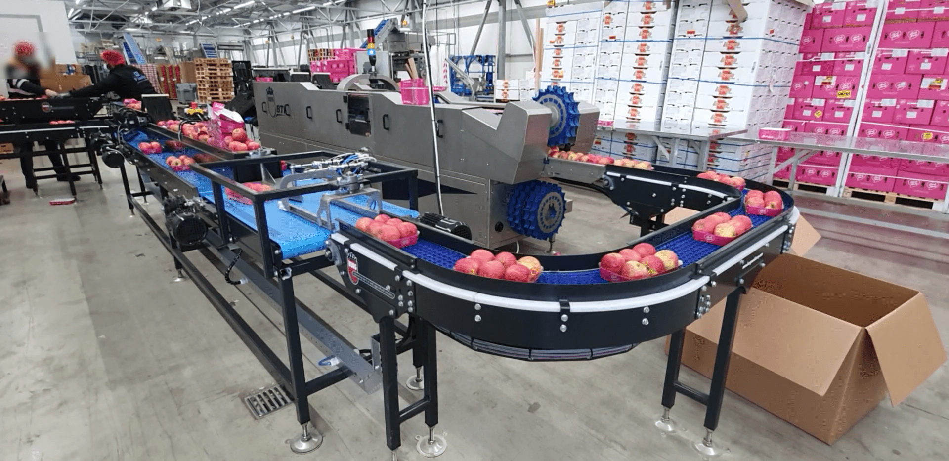 AUTOMATIC TRAY FILLER - Burg Machinery