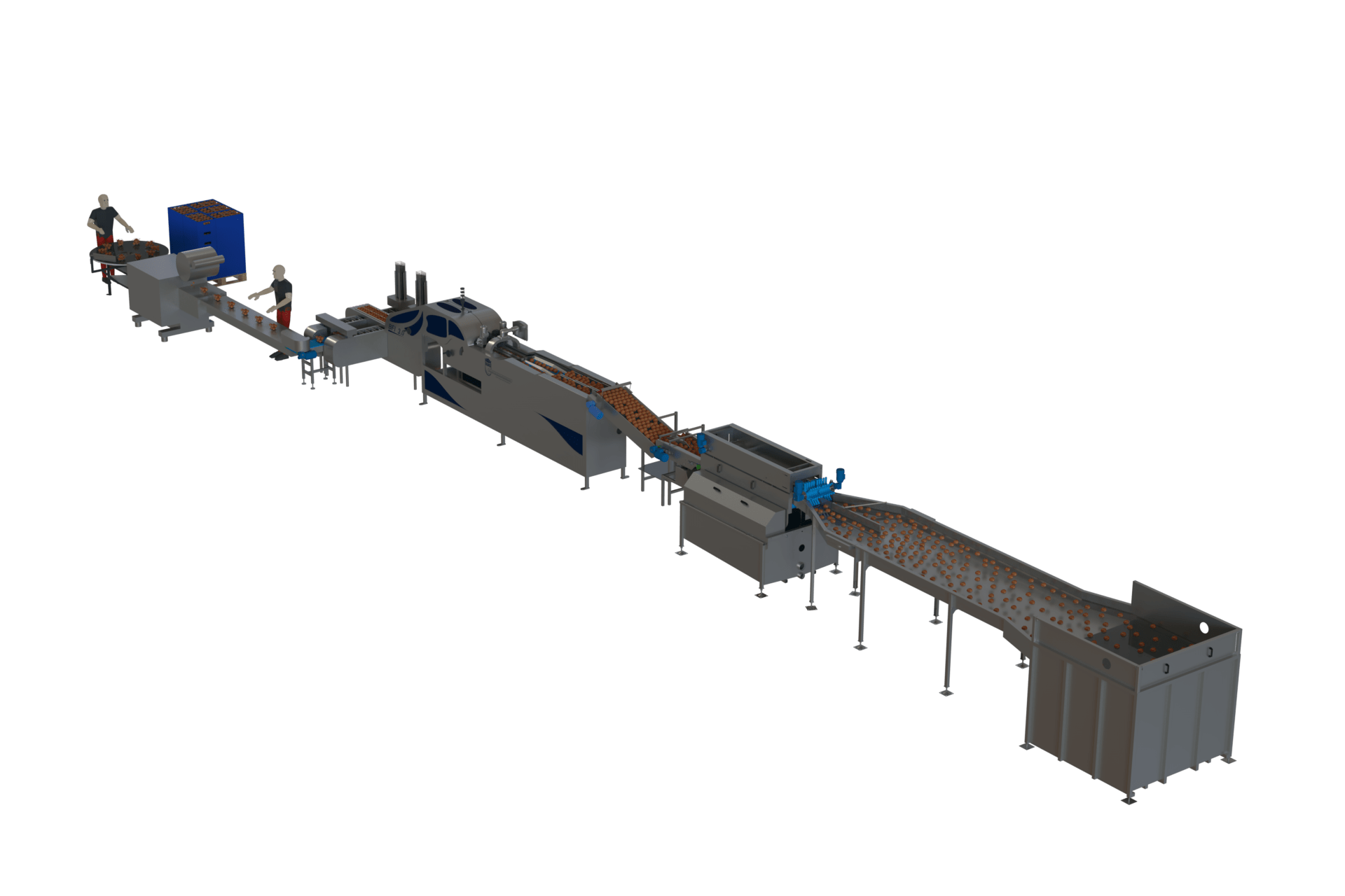 PUNNET FILLING LINE - Burg Machinery