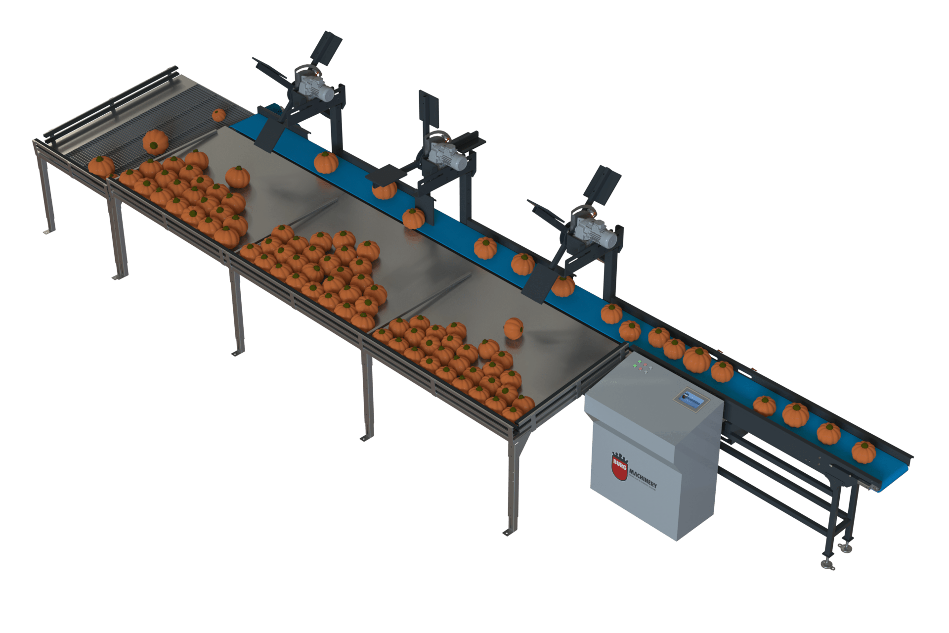 PUMPKIN SORTING MACHINE WITH WEIGHING FUNCTION - Burg Machinery