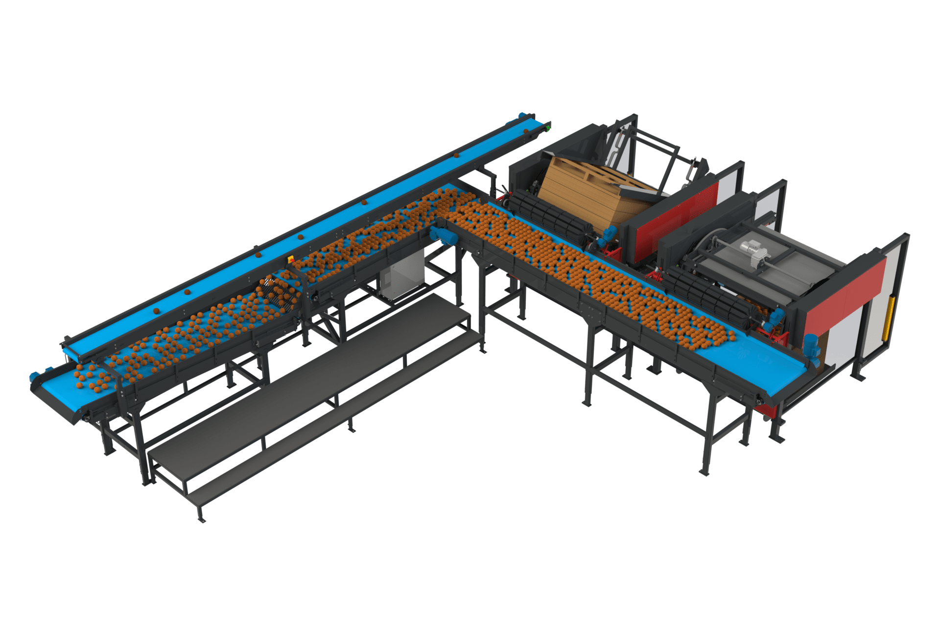 BIN UNLOADING LINE FOR SWEET POTATOES - Burg Machinery
