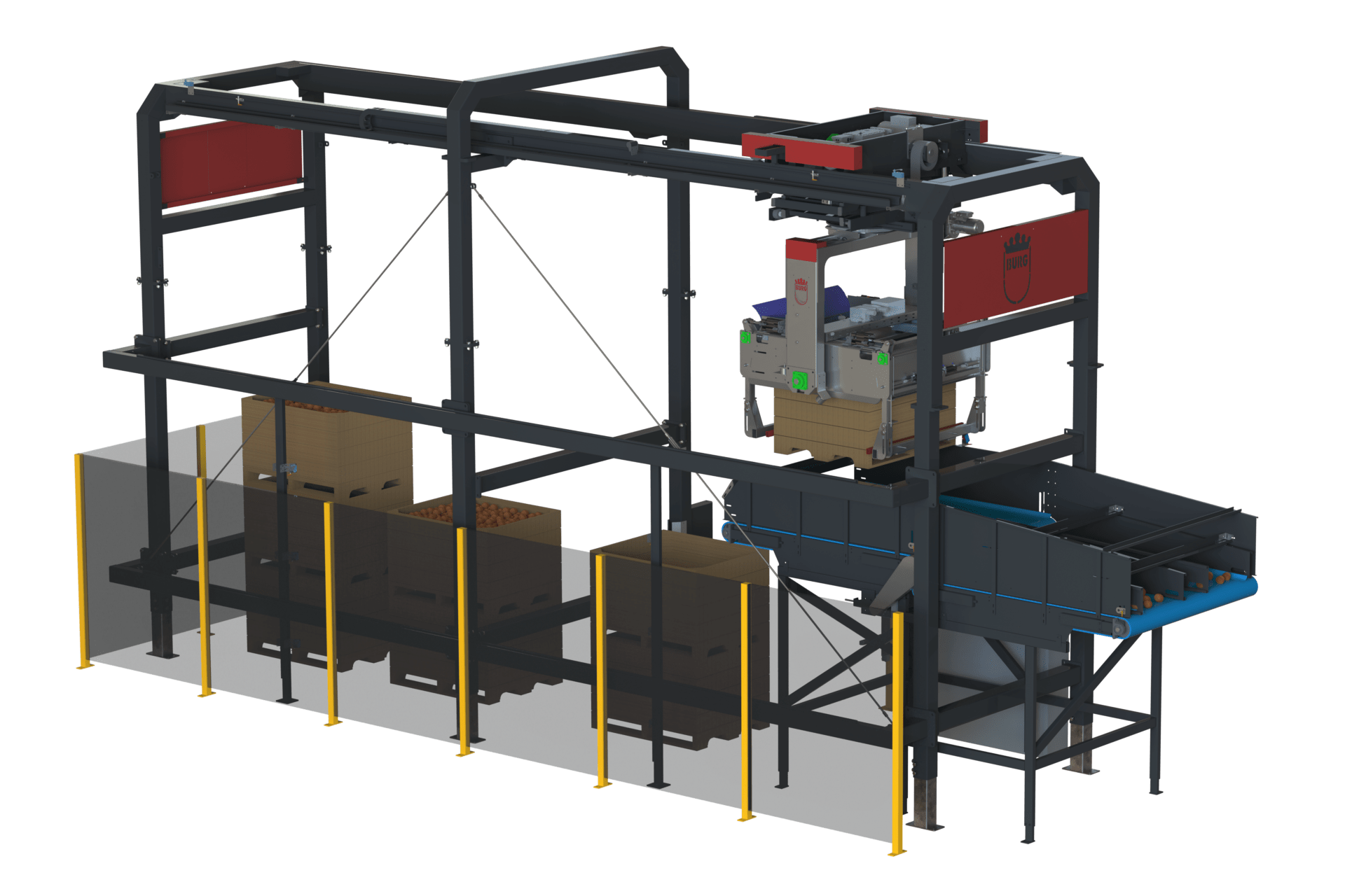 INFEED LINE - Burg Machinery