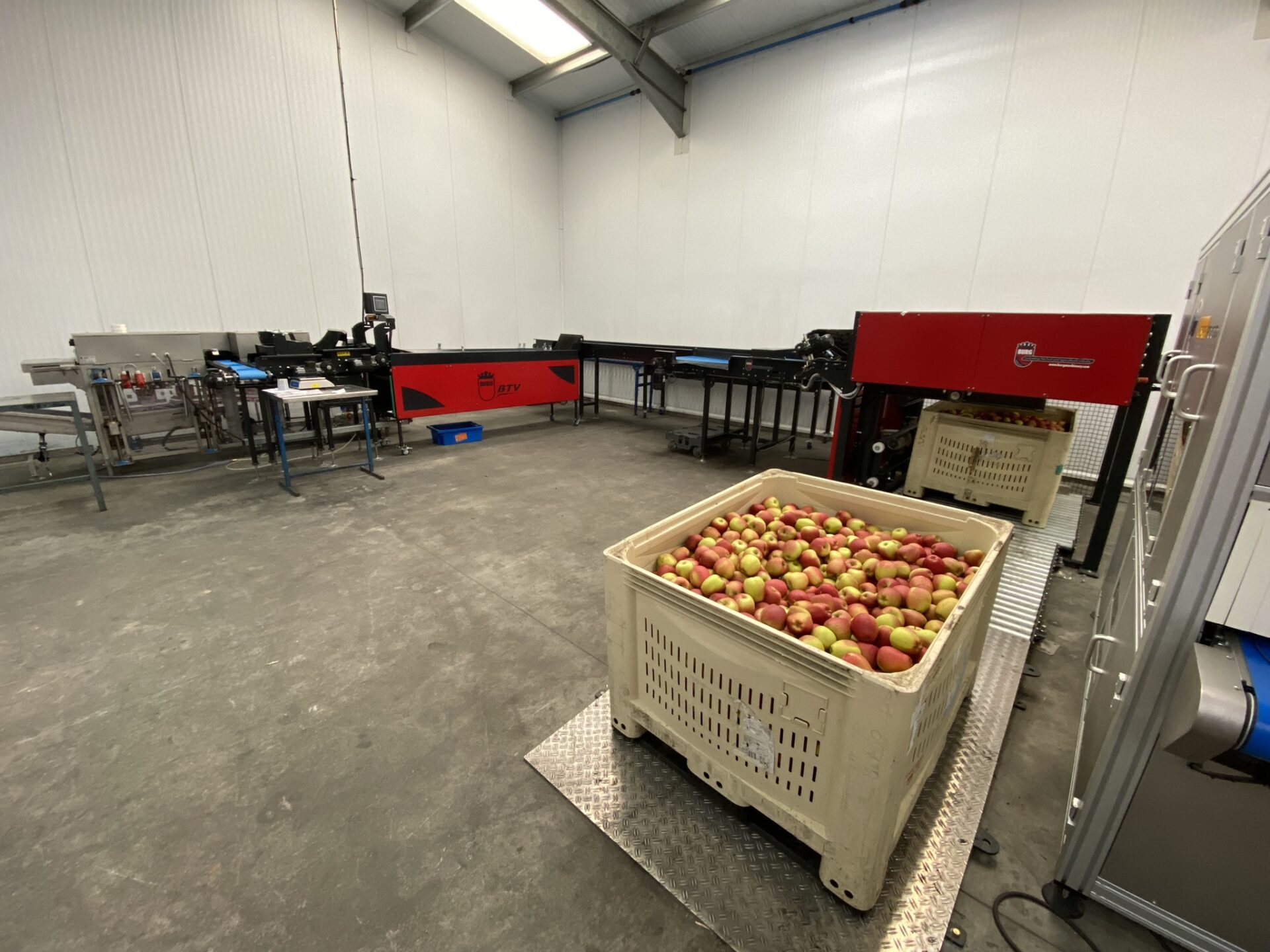 AUTOMATIC BAG FILLING LINE FOR APPLES - Burg Machinery