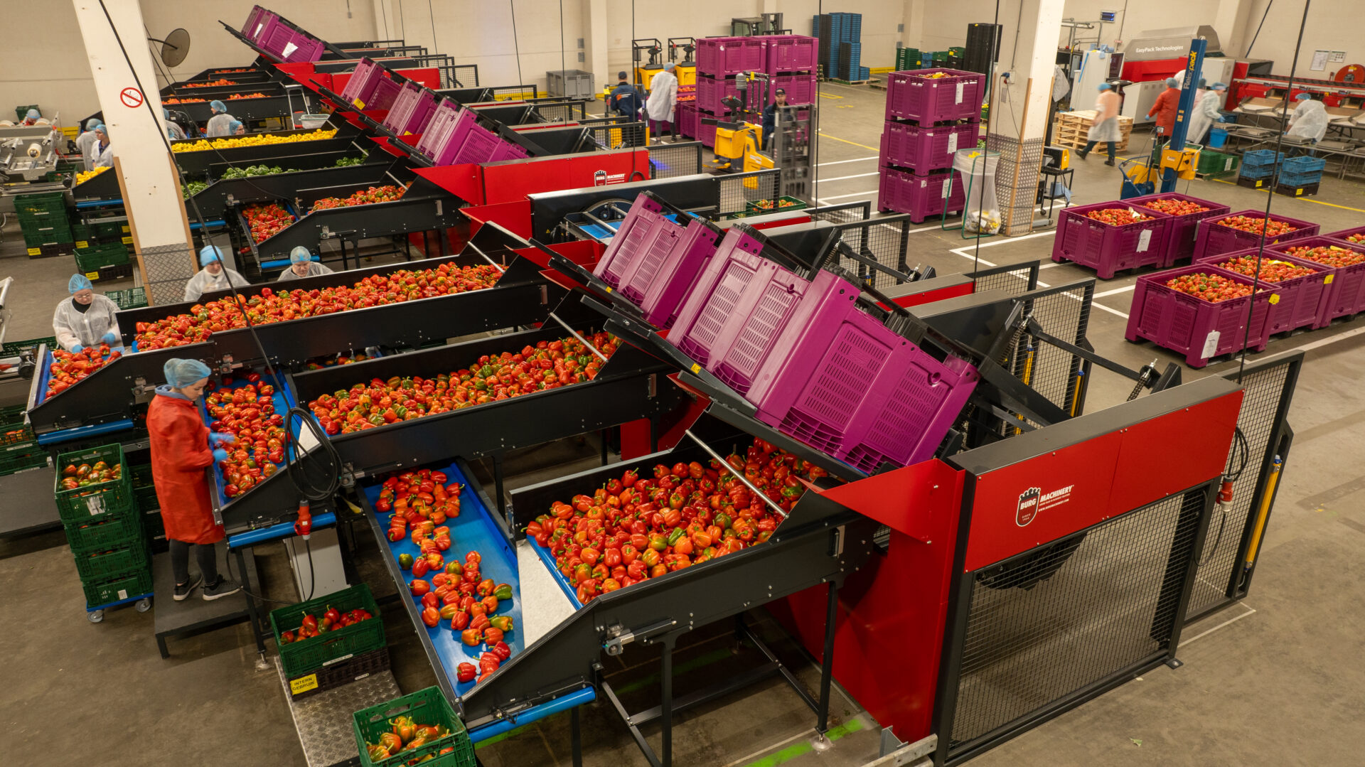 BIN UNLOADING LINE PEPPERS - Burg Machinery