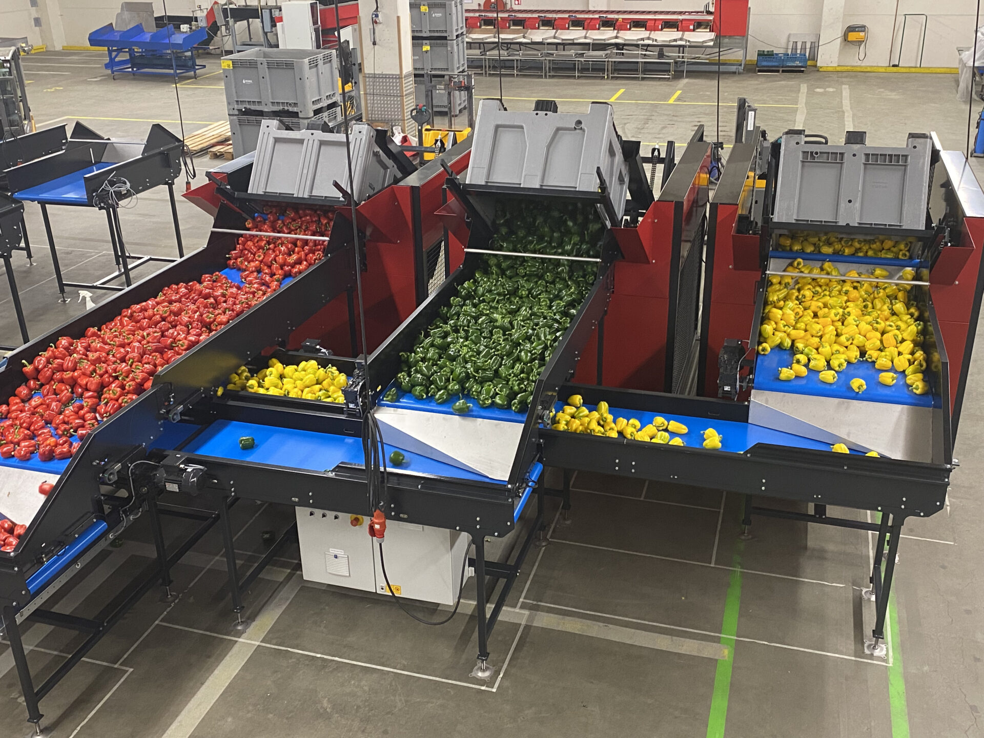 Binunloading line peppers - Burg Machinery