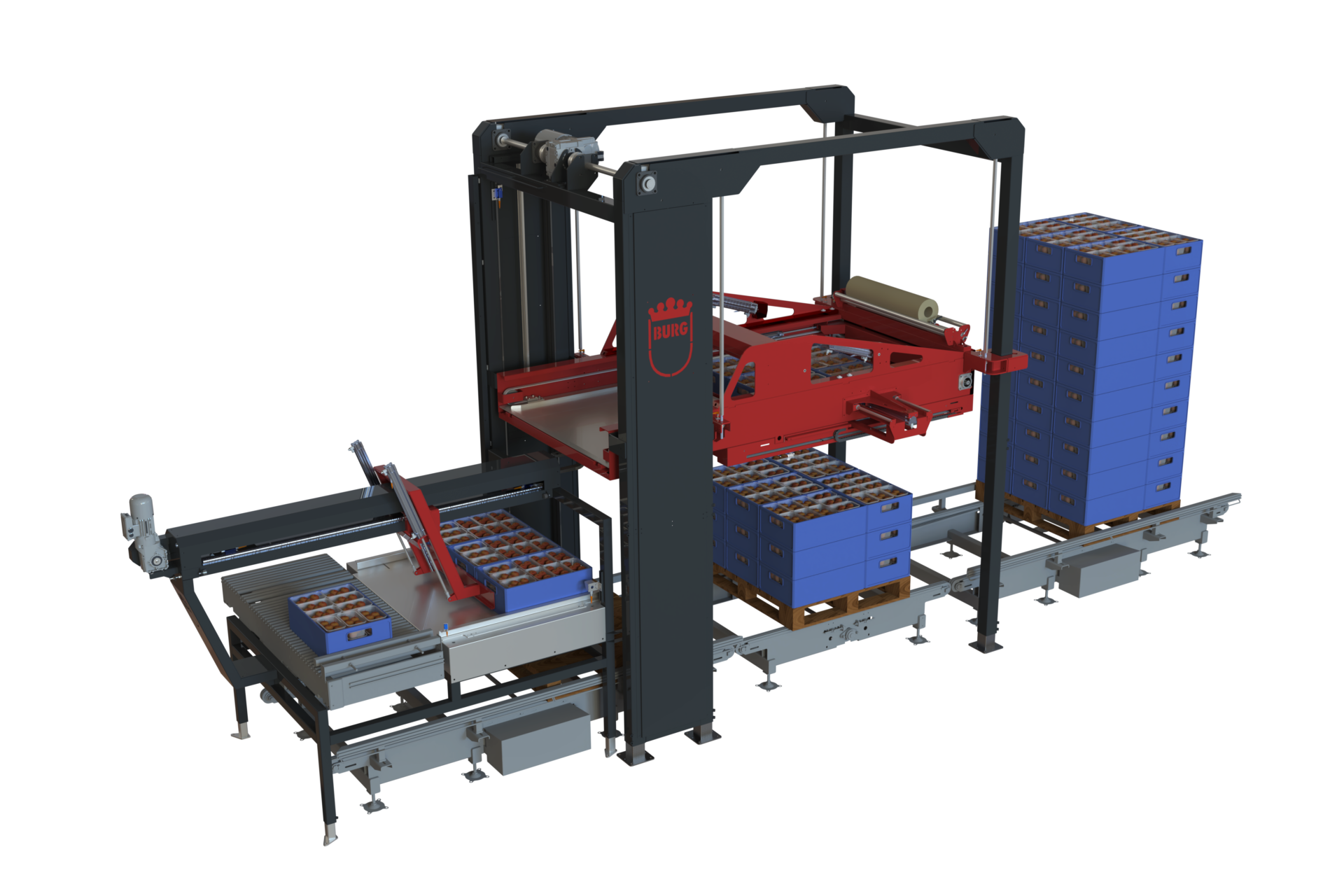 PALLETISER - Burg Machinery