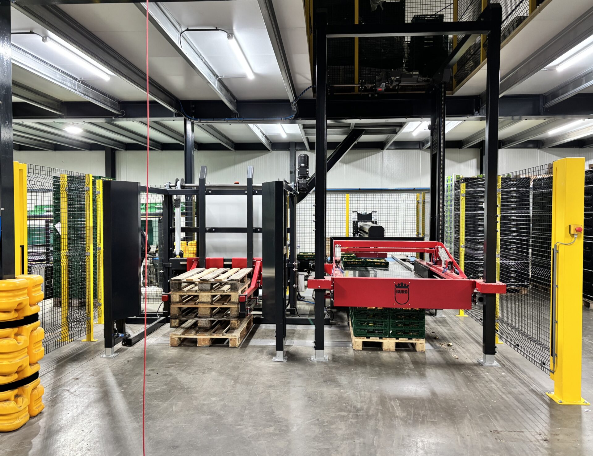 PALLETIZING WITH CRATES AND PALLET FEED - Burg Machinery